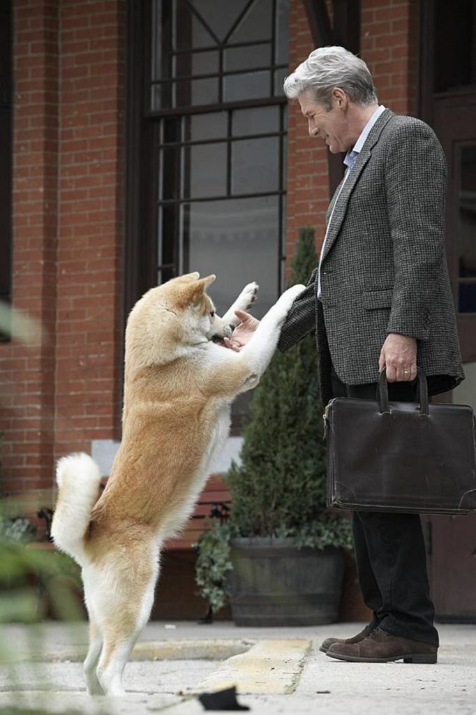Canine Movie Stars: Top 20 Famous Dogs in Movies and TV Shows!