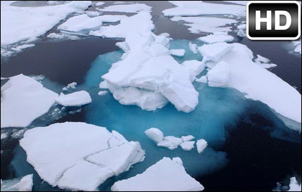 The Arctic HD Wallpapers North Pole New Tab - HD Wallpapers & Backgrounds